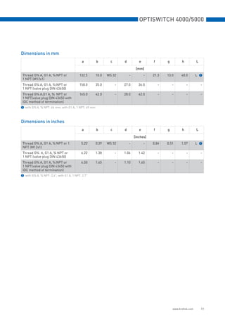 Krohne Vibrating Fork Level Switches | PDF