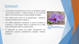 Κρόκος Κοζάνης | PPT