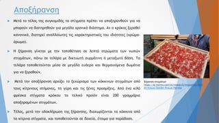 Κρόκος Κοζάνης | PPT
