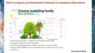 Krol, Maarten: COS-OCS: Carbonyl Sulfide, new ways of Observing the ...