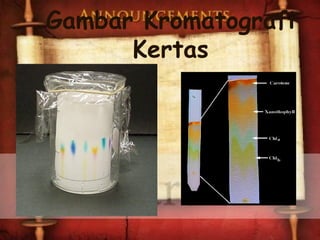 Kromatografi | PPT