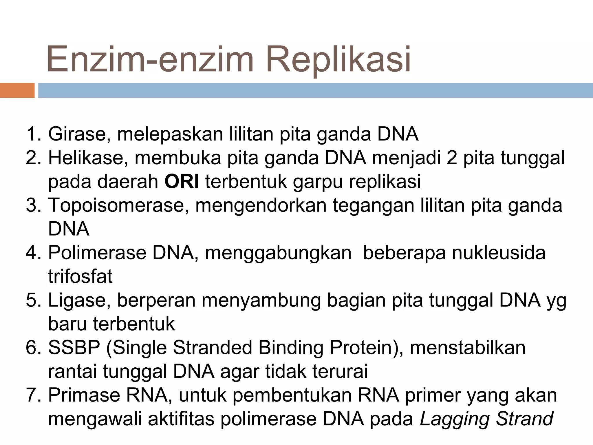 Krom,gen, dan dna | PPT