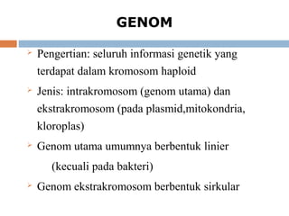 Krom,gen, dan dna | PPT