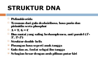 Krom,gen, dan dna | PPT