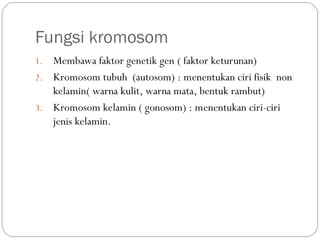Materi biologi kelas 12 tahun 2024 semester 1 KROMOSOM | PPT