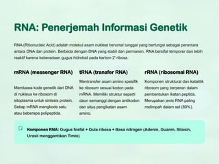 Kromosom-DNA-dan-RNA-Fondasi-Kehidupan.pptx