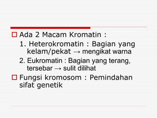 kromosom dan bagian-bagiannya pada manusia.ppt
