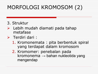 kromosom dan bagian-bagiannya pada manusia.ppt