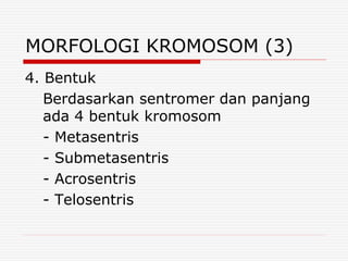 kromosom dan bagian-bagiannya pada manusia.ppt