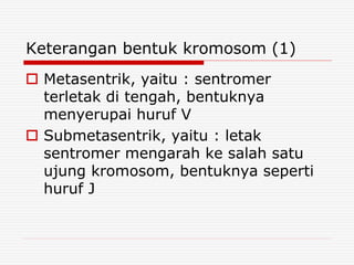 kromosom dan bagian-bagiannya pada manusia.ppt