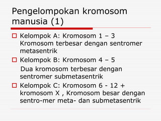kromosom dan bagian-bagiannya pada manusia.ppt