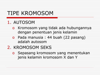 kromosom dan bagian-bagiannya pada manusia.ppt