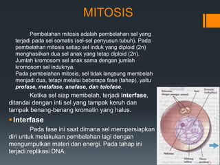 Kromosom dan pembelahan mitosis | PPTX