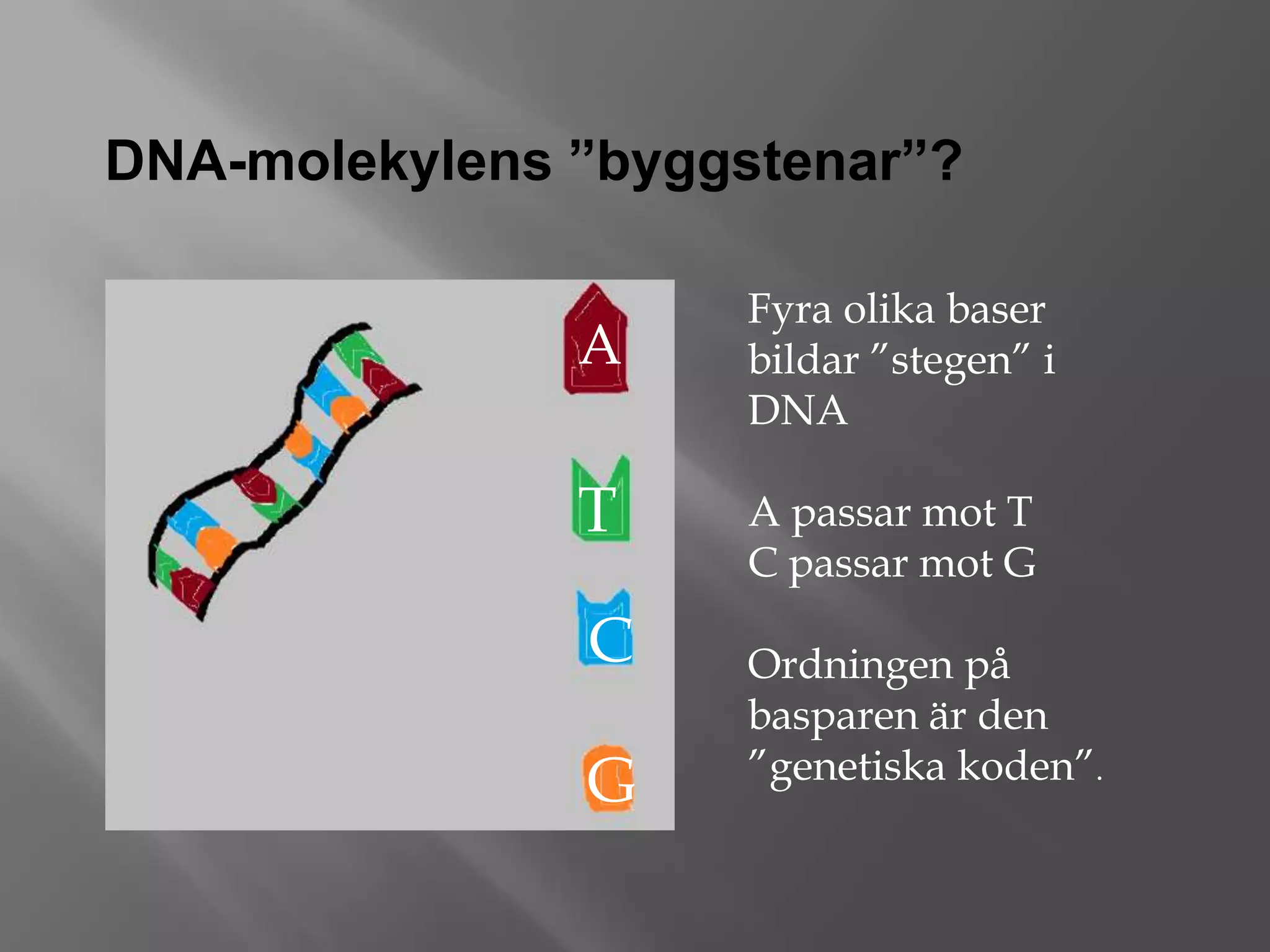 Kromosomer dna och gener | PPTX