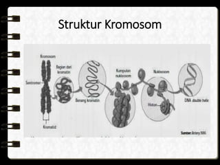 KROMOSOM, GEN, DAN DNA | PPTX