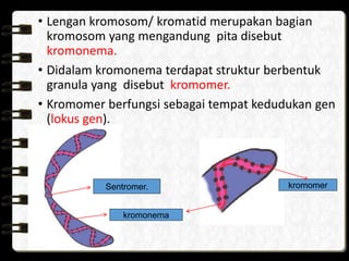 KROMOSOM, GEN, DAN DNA | PPTX