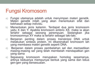 Dasar Geetika Kromosom, Lokus, Gen Alel.pptx
