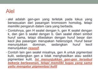 Dasar Geetika Kromosom, Lokus, Gen Alel.pptx