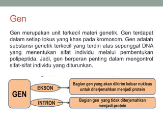 Dasar Geetika Kromosom, Lokus, Gen Alel.pptx