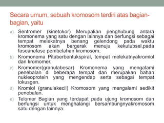 Dasar Geetika Kromosom, Lokus, Gen Alel.pptx