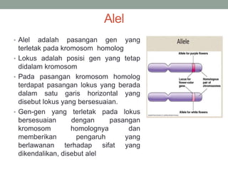 Dasar Geetika Kromosom, Lokus, Gen Alel.pptx