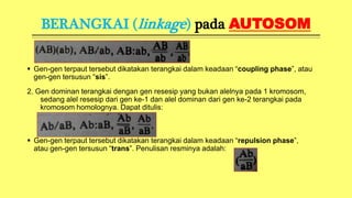 KROMOSOM, BERANGKAI dan PINDAH SILANG | PPTX