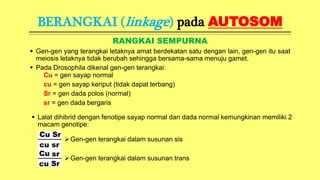 KROMOSOM, BERANGKAI dan PINDAH SILANG | PPTX