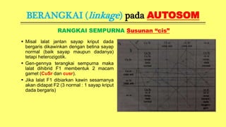 KROMOSOM, BERANGKAI dan PINDAH SILANG | PPTX