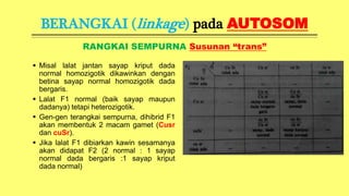 KROMOSOM, BERANGKAI dan PINDAH SILANG | PPTX