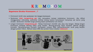 KROMOSOM, BERANGKAI dan PINDAH SILANG | PPTX