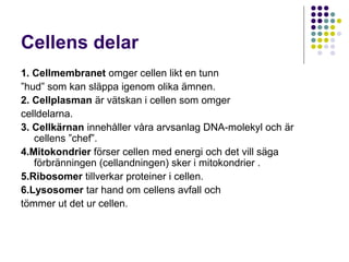 Kroppen del 1 gzl | PPT | Endocrine and Metabolic Diseases | Diseases ...