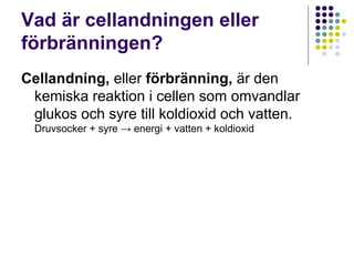 Kroppen del 1 gzl | PPT