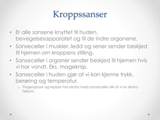 Kroppen naturfag 9.trinn | PPT
