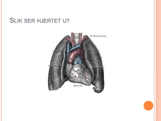 Hjertet | PDF