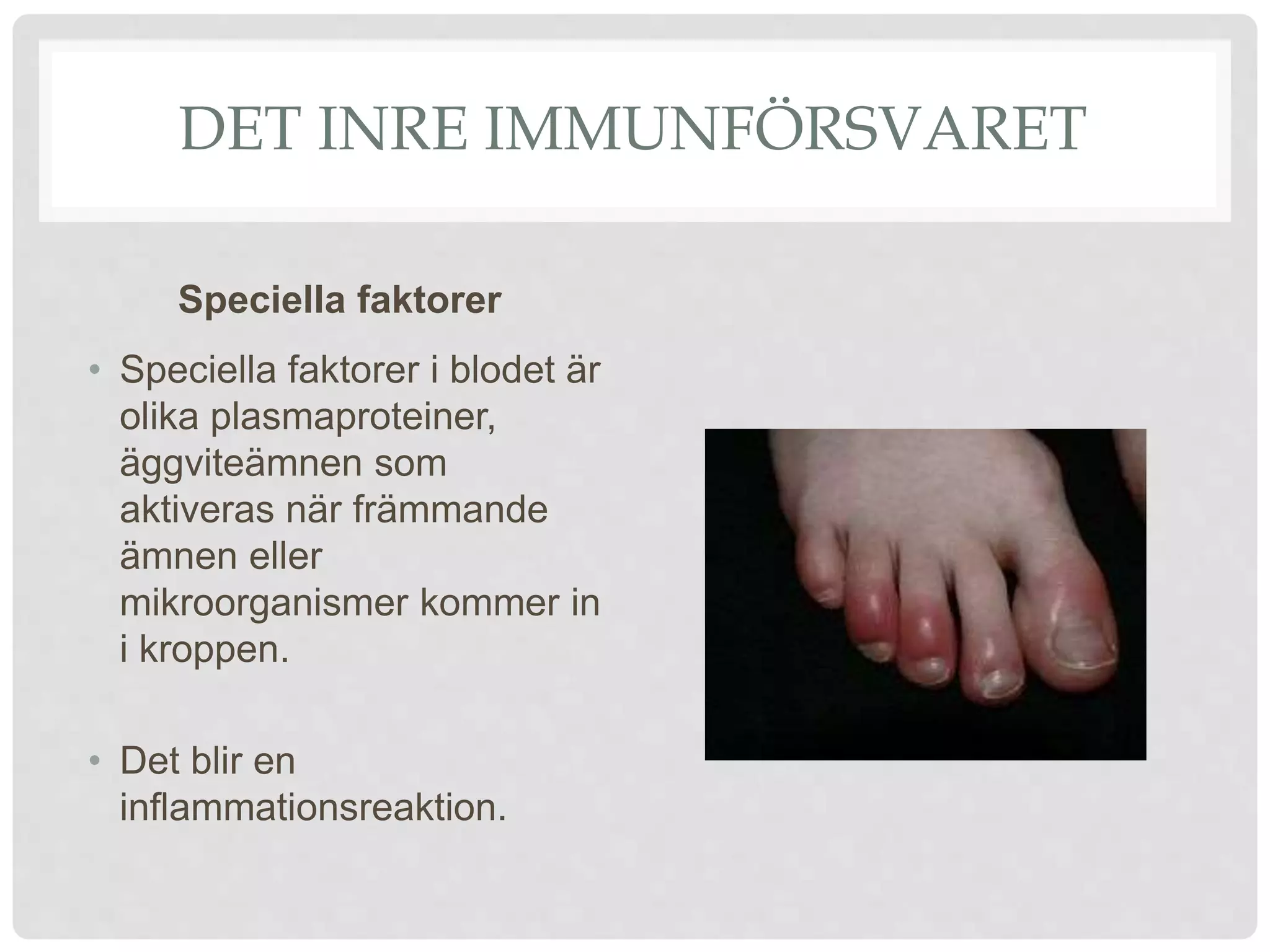 Kroppens försvar | PPTX