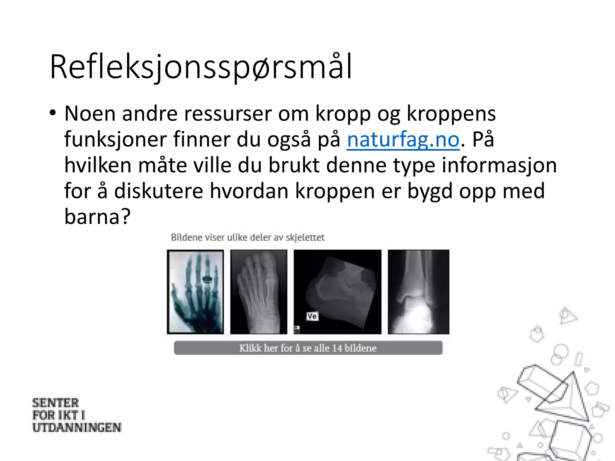Kropp pedagogiske refleksjoner | PDF
