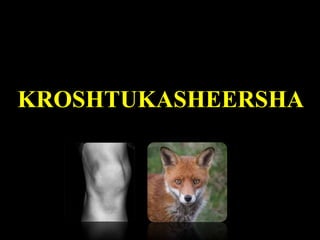 Kroshtuka seersha .pptx