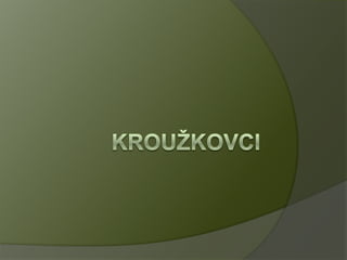 Kroužkovci | PPTX