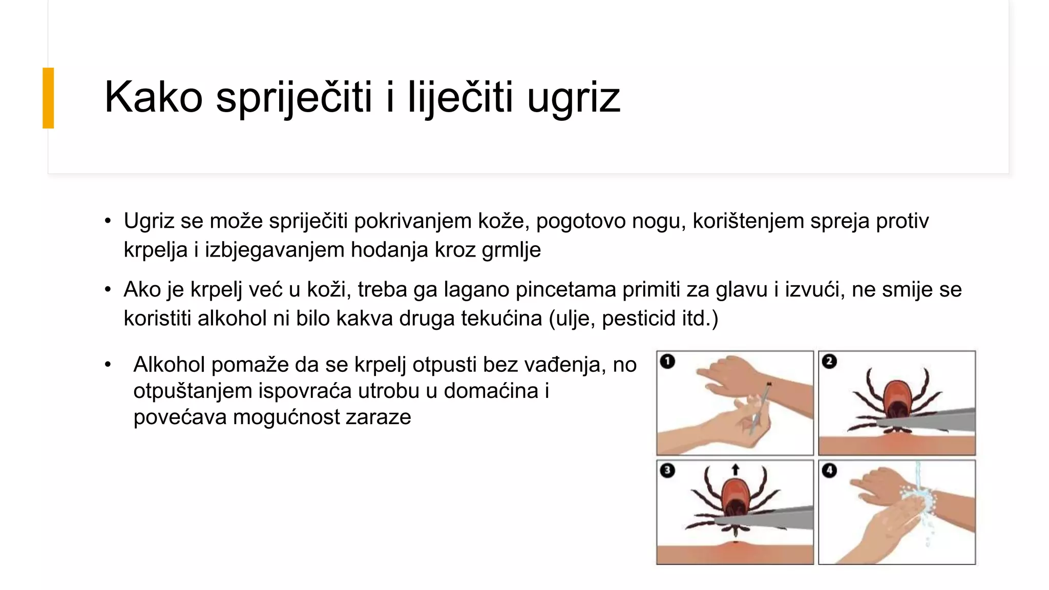 Krpelji | PPTX