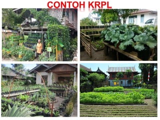 KRPL presentasi.pptx