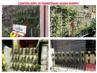 KRPL presentasi.pptx