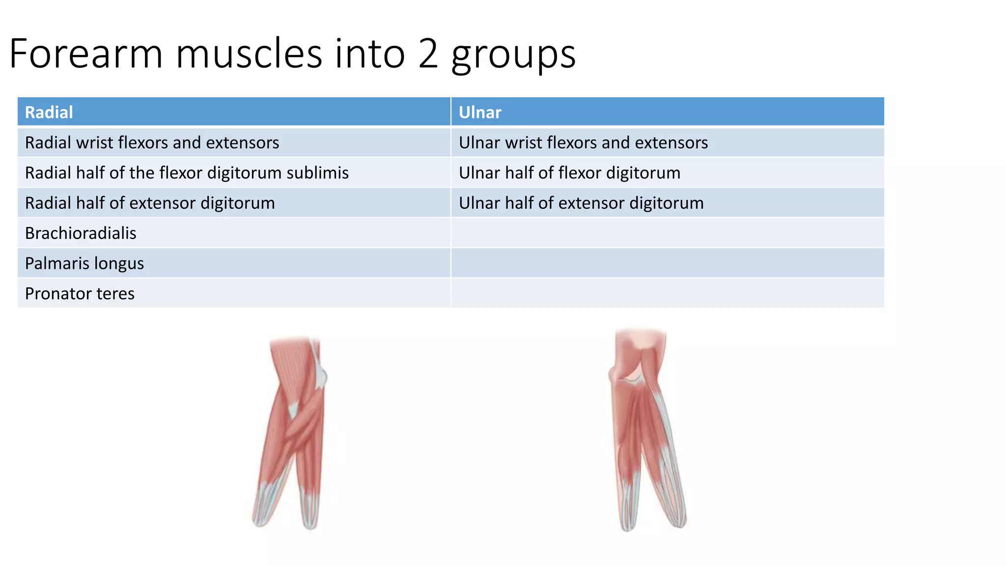 Krukenberg surgery | PPTX
