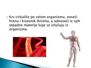 Krv | PPTX