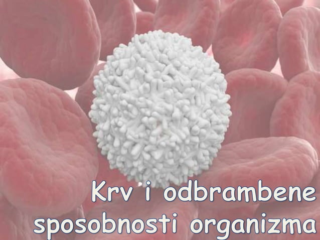 Krv. Odbrambene sposobnosti organizma. | PPTX