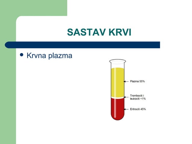 Krv | PPT