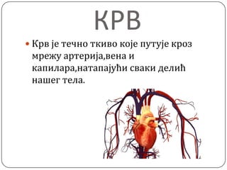 Krv i bolesti krvi | PPTX