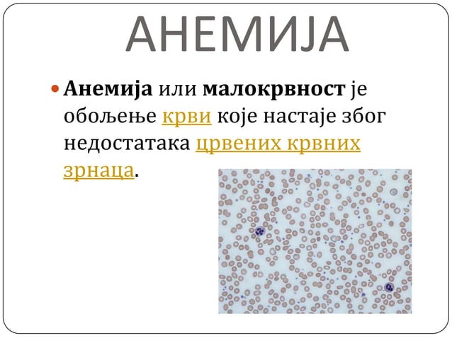 Krv i bolesti krvi | PPTX