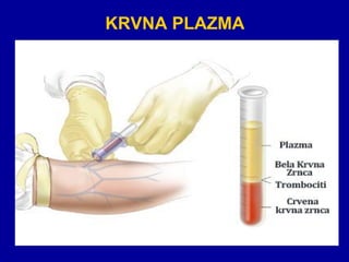 Krvna plazma | PPT
