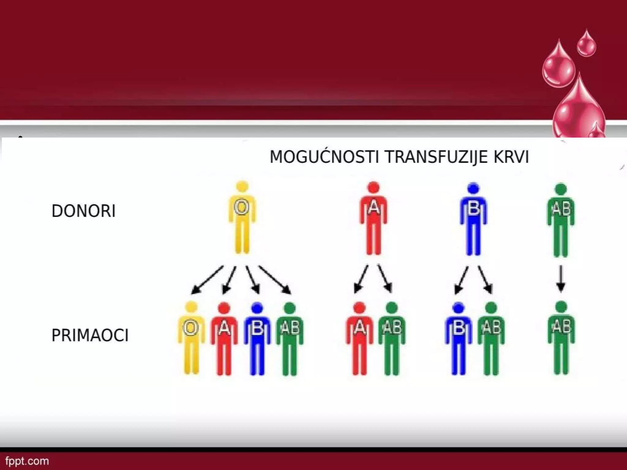 Krvne grupe biologija_8r | PPTX