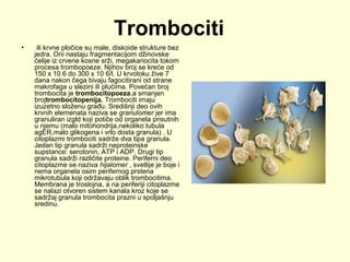 Krvni sistem (1) | PPT